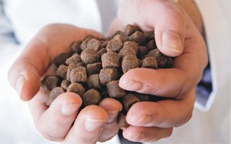 China Shandong 2015 NEW Dry kibble pet dog food pellet making extruder machine supplier